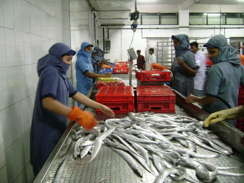Exporters of Frozen seafood from India, Catching Area FAO 51 & 57